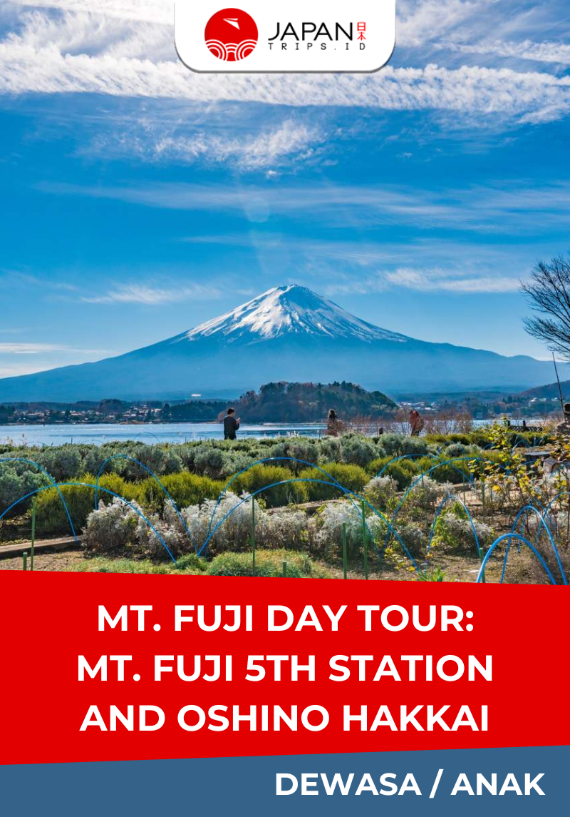 Mt. Fuji Day Tour: Mt. Fuji 5th Station and Oshino Hakkai – japanlives