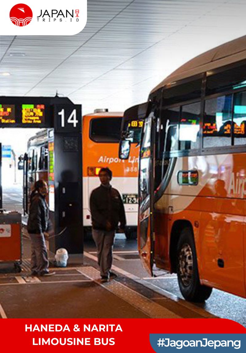 Haneda & Narita Limousine Bus to Tokyo | One Way – japanlives