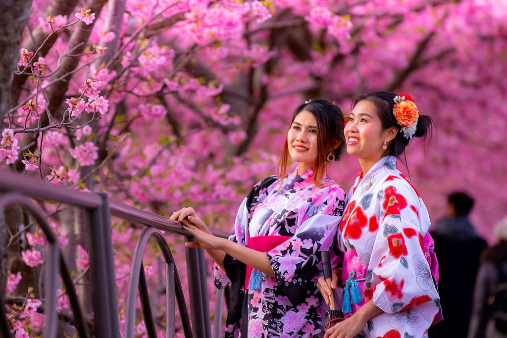 Kawazu Cherry Blossom Festival: Perayaan Sakura yang Mekar Lebih Awal ...