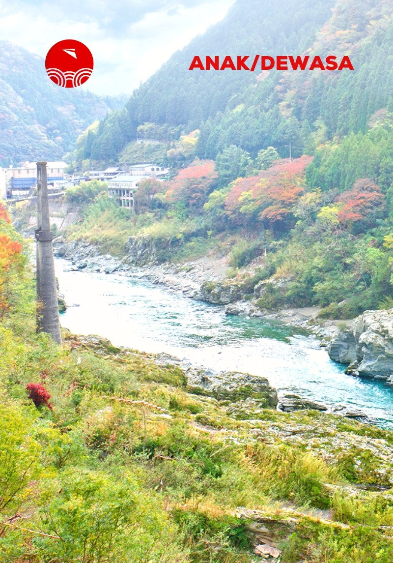 JR All Shikoku Area Pass – japanlives