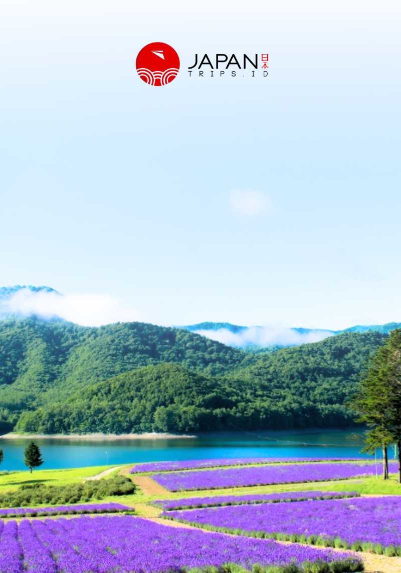 Asahiyama Zoo・Biei Blue Pond・Furano 1DAY Picnic Tour – japanlives