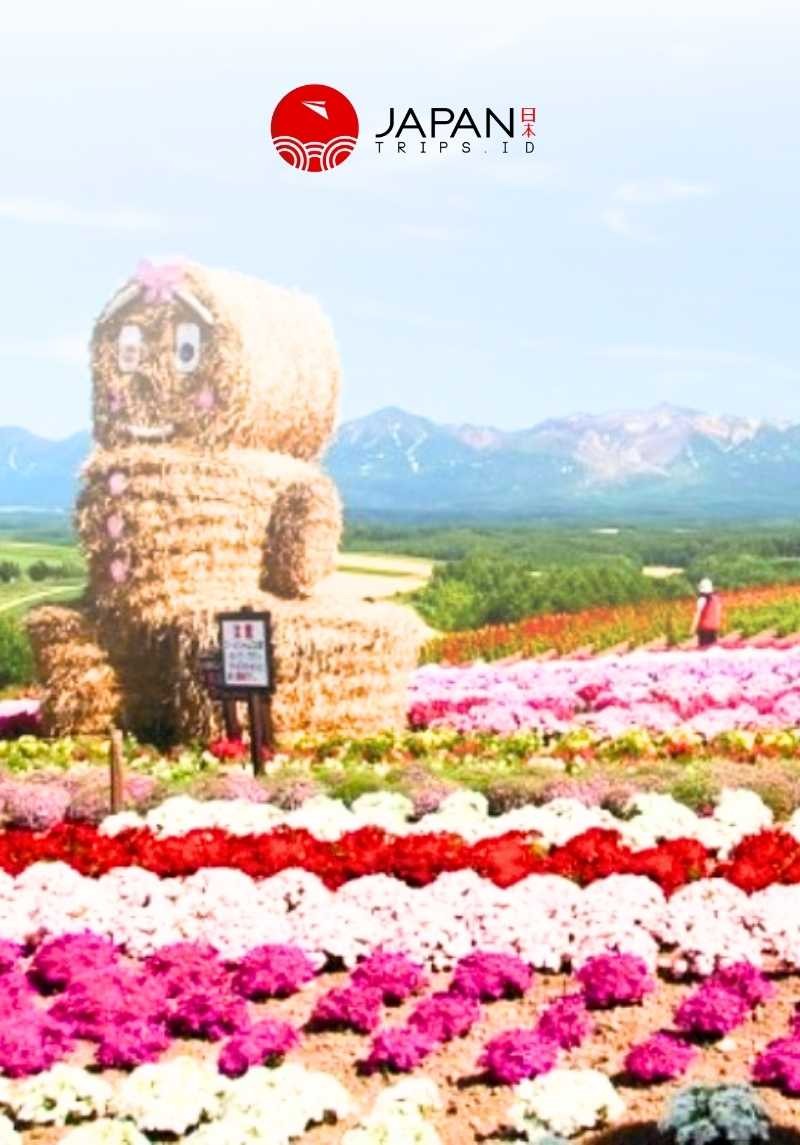 Hokkaido Furano Day Tour – japanlives
